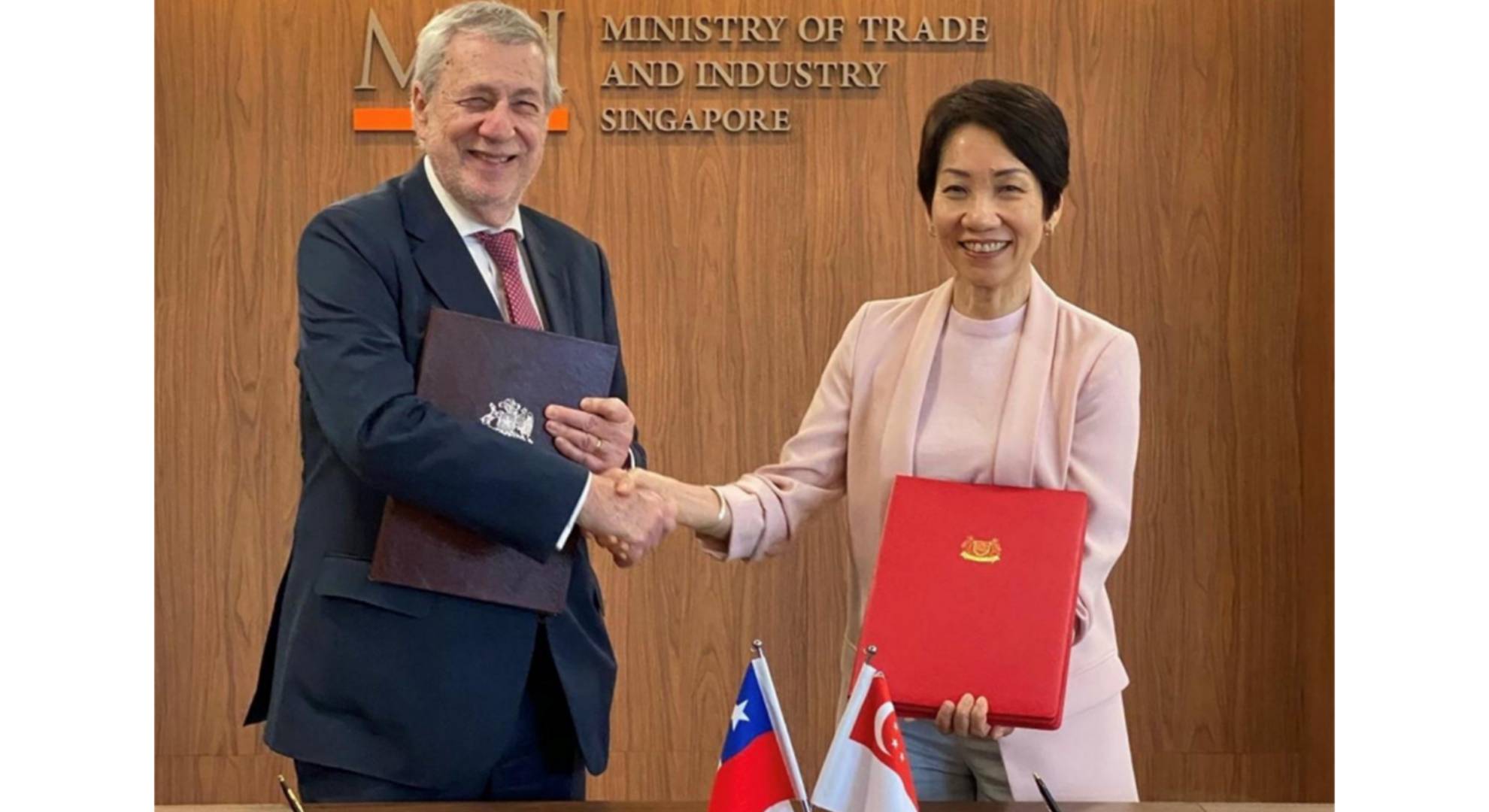 Singapore, Chile Sign Carbon Credit Agreement | ESG News.earth