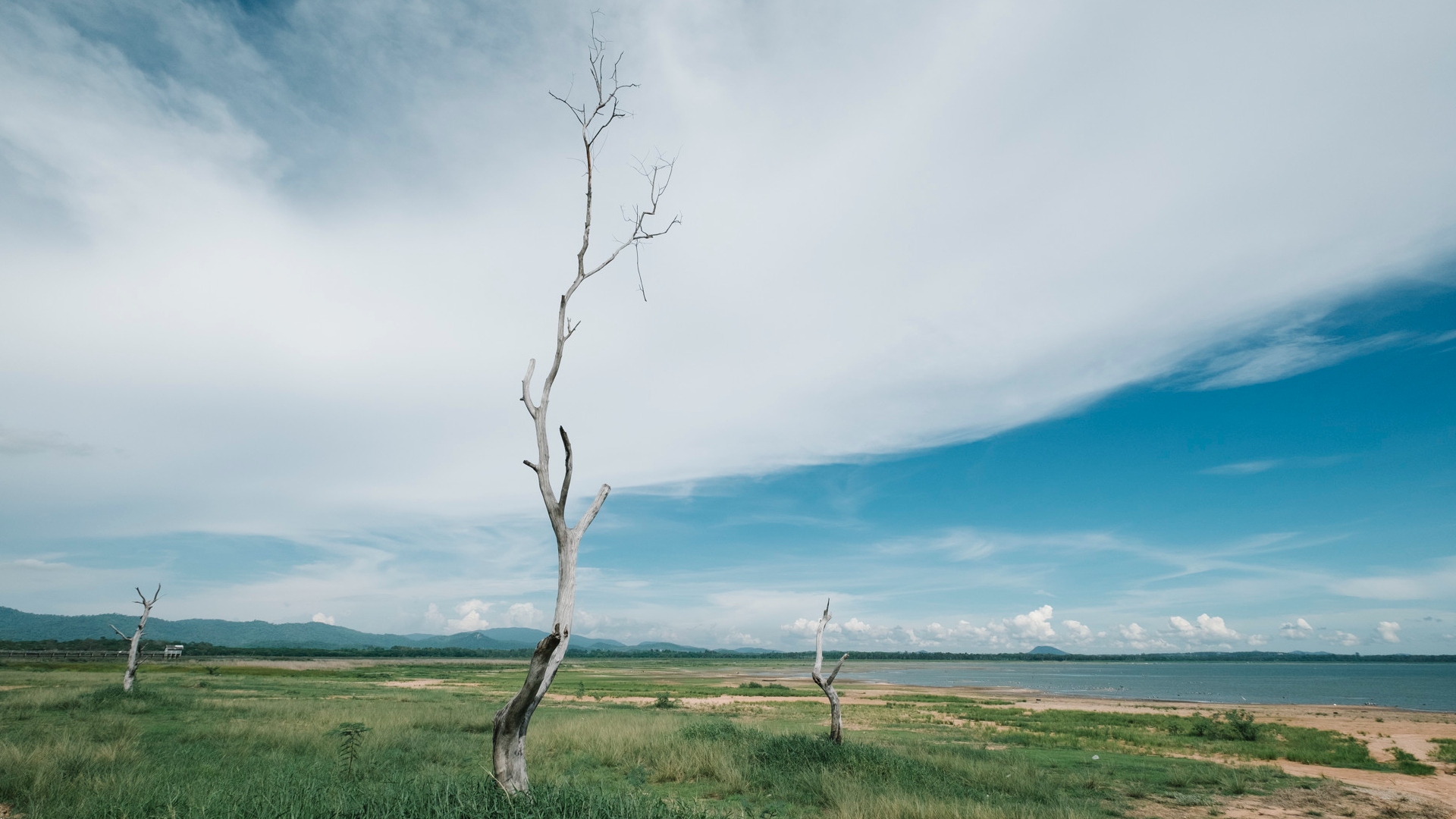 Climate Change: Meticulous Measurement, Paralysing Inaction | ESG News ...