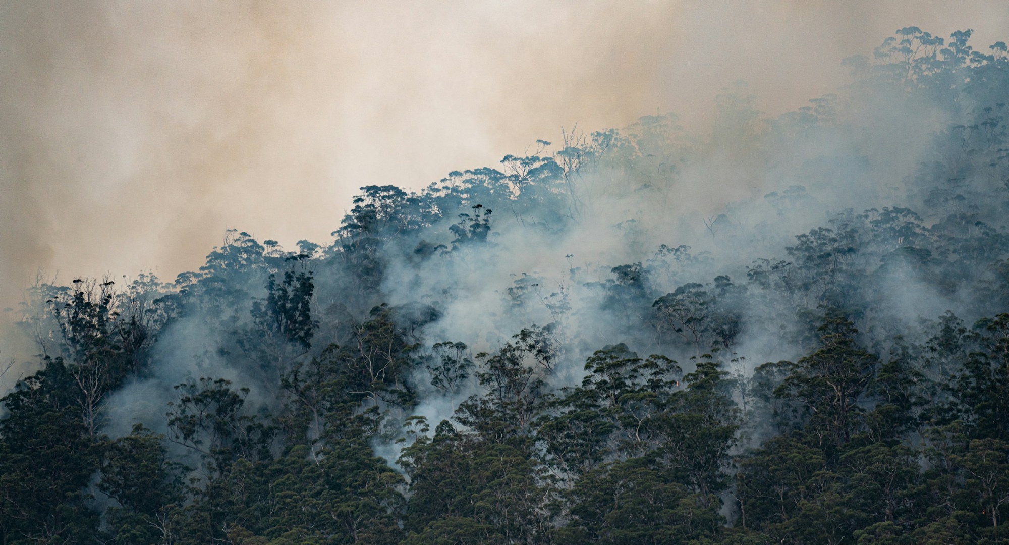 Climate Change Now India's Public Health Crisis, Dr. Soumya Swaminathan ...